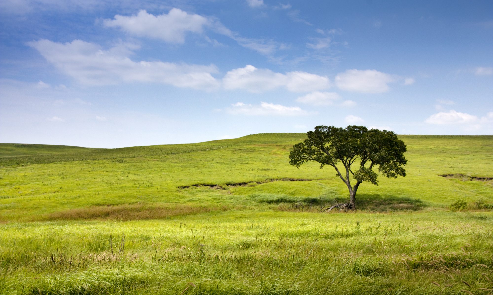 A Covenant Prayer for a New Year – From Behind the Pulpit